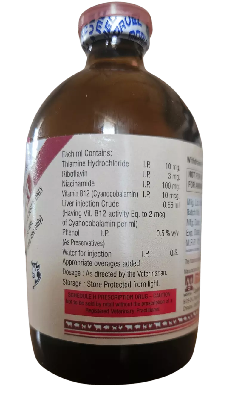 B-COMPLEX with LIVER EXTRACT 100 ml Inj